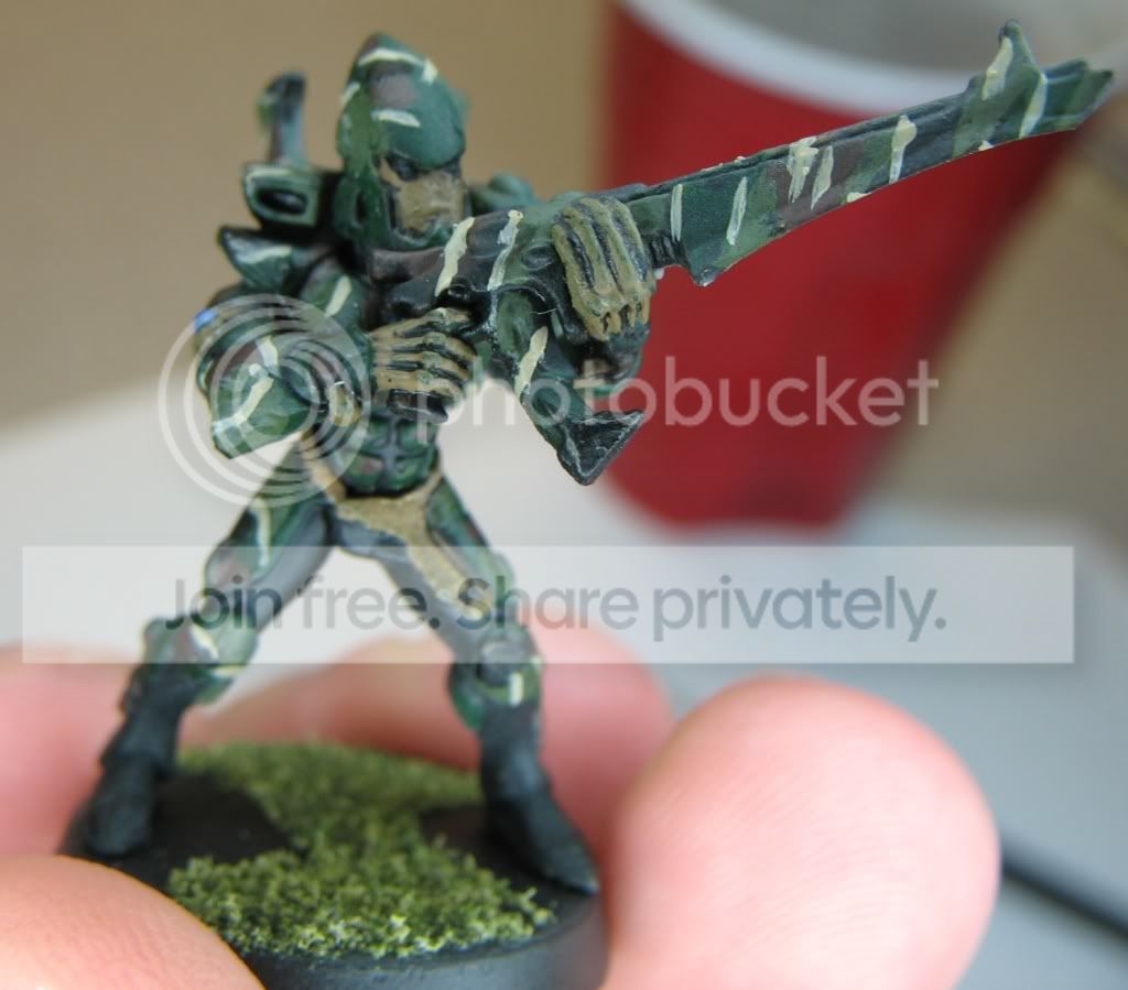 Eldar Camo (Non-Craftworld) | Warhammer 40k Forum and Wargaming Forums