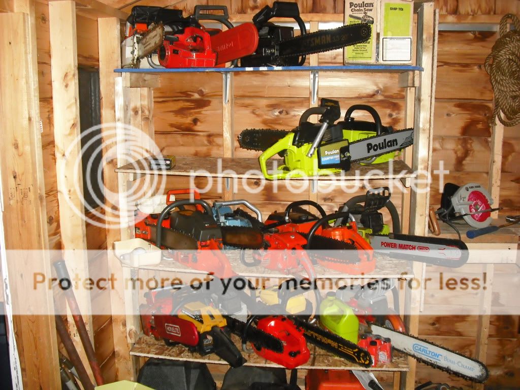 Saw organization | Arborist, Chainsaw & Tree Work Forum
